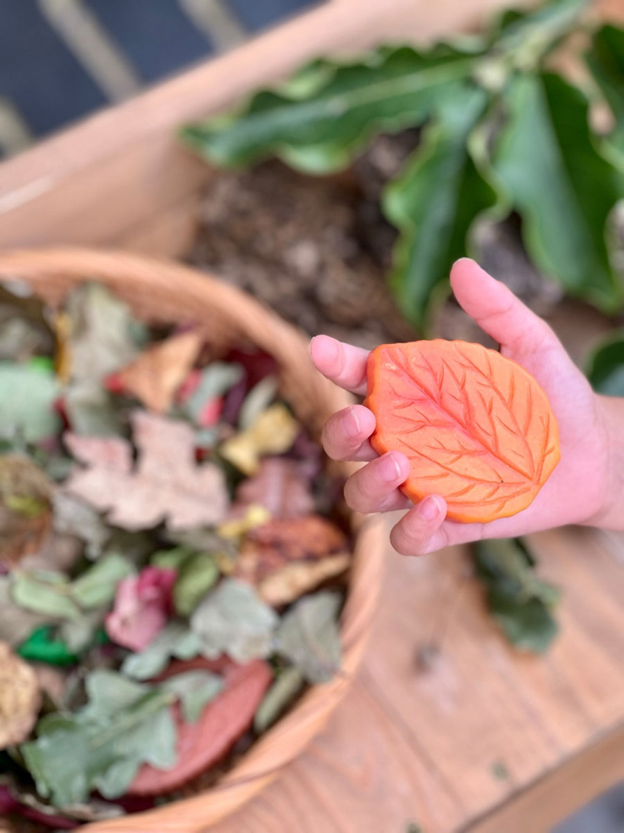 sensory-play-stones-leaves-rosa-la-belle-llc